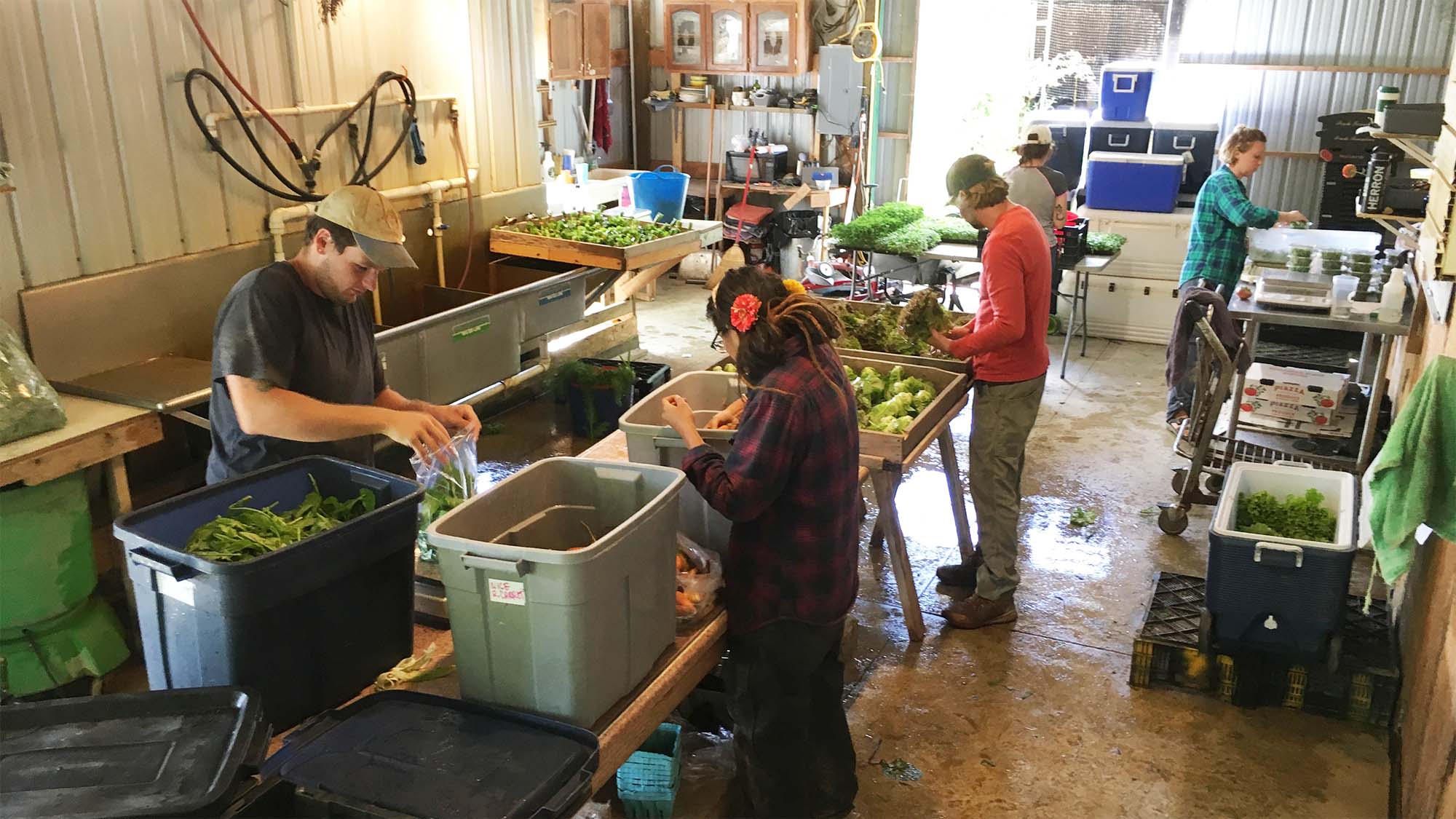 Farm Jobs | Full Hand Farm