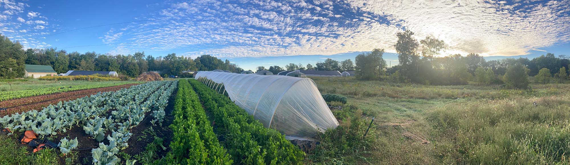 Our Sustainable Farm | Full Hand Farm